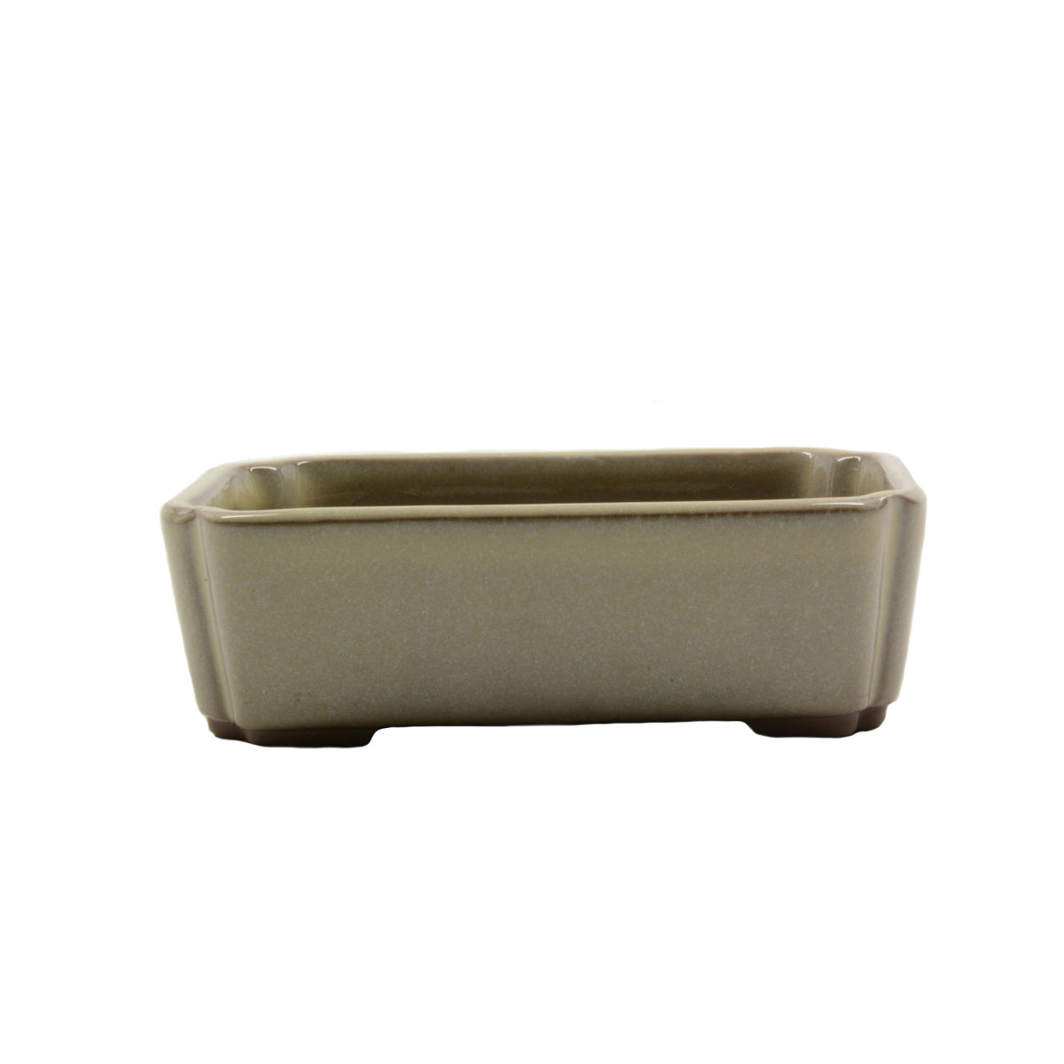 4.1" Tokoname Cream Rectangular Indented Corners Pot – Bonsai Unlimited