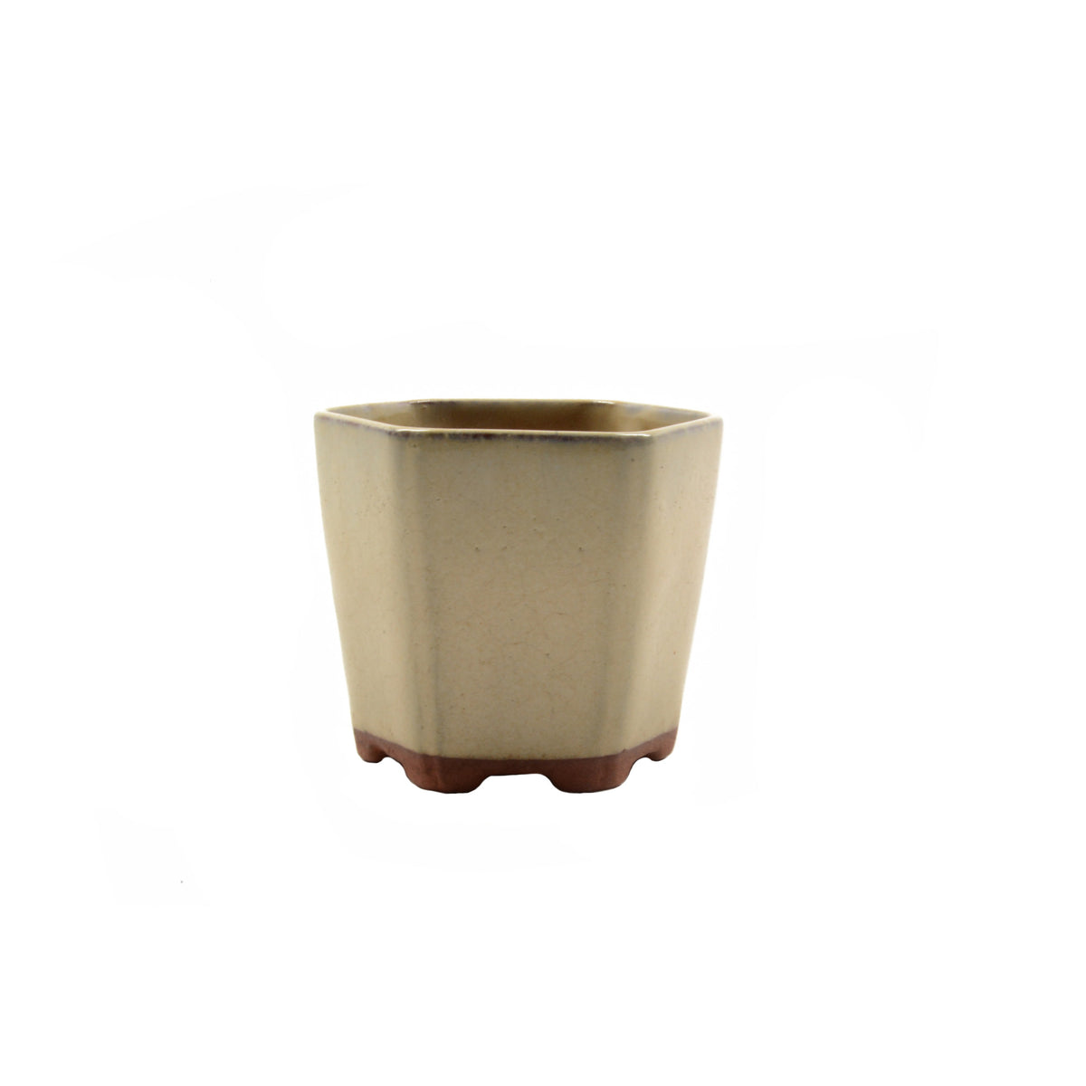 3" Yixing Coffee Cream Mame Hexagon Pot – Bonsai Unlimited